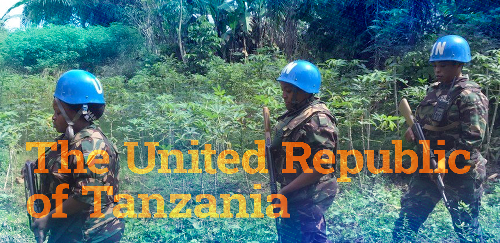 United Republic of Tanzania People’s Defence Forces - The Elsie ...